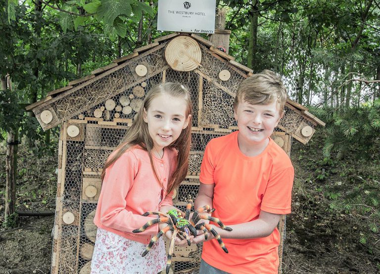 IT’S A BUG’S LIFE: Ceila Breathnach and Daniel O’Hagan checking in at ...