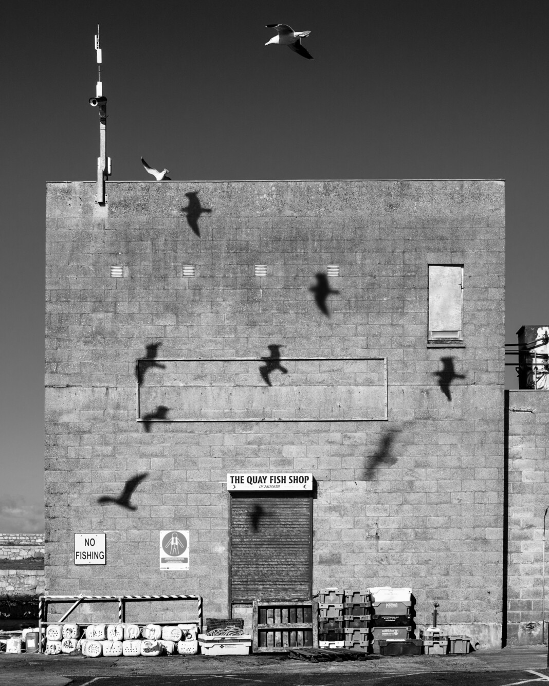 Andrew Watchorn, The Fish Shop, Coal Harbour, Dun Laoghaire