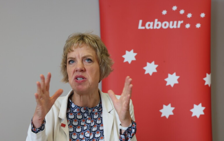 Labour leader and TD Ivana Bacik