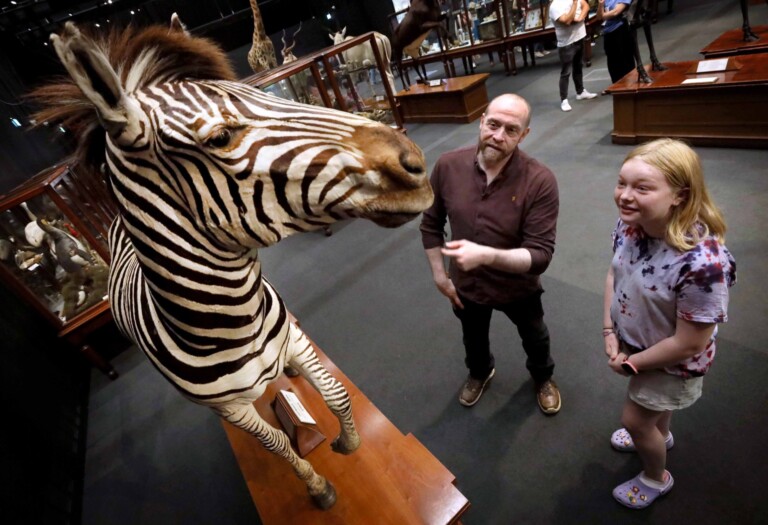 The Dead Zoo Lab at Collins Barracks has been designed to allow changes and evolution to the ...